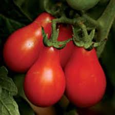 Buy Tomato - Red Pear Cherry Seeds | Tomato - Red Pear Cherry Seeds Canada | Brother Nature Seeds